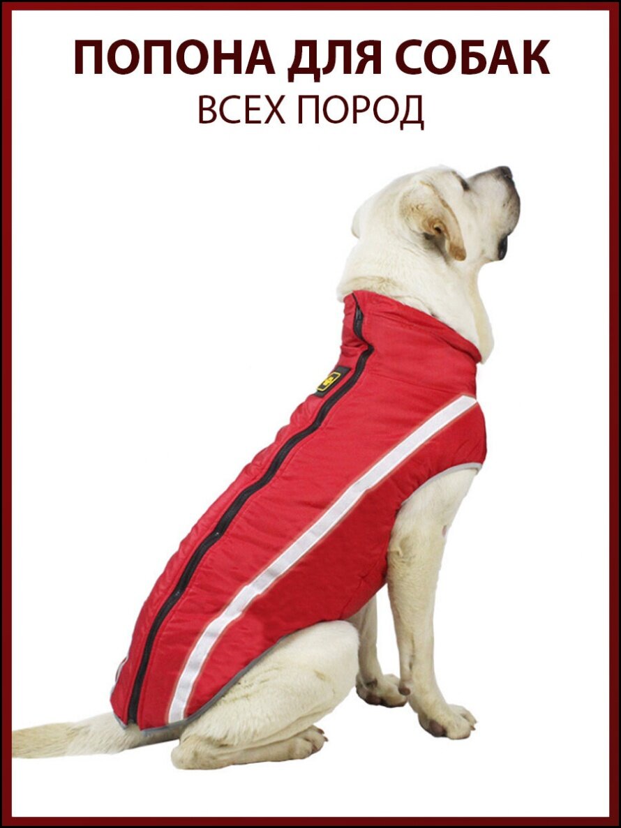 Стильная демисезонная попона 2XL для собак, бестселлер красного оттенка