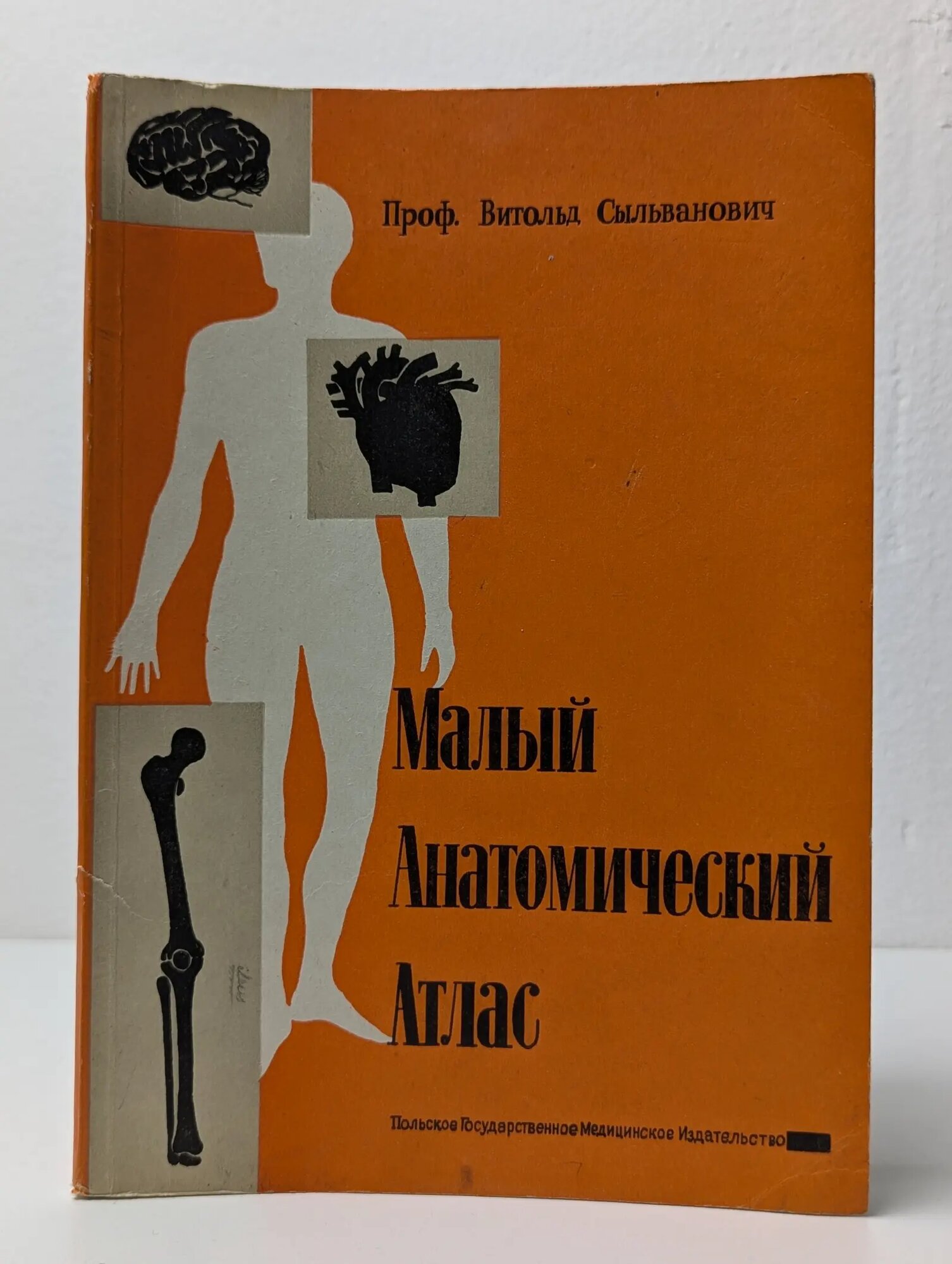 Малый анатомический атлас Сыльванович Витольд 1965