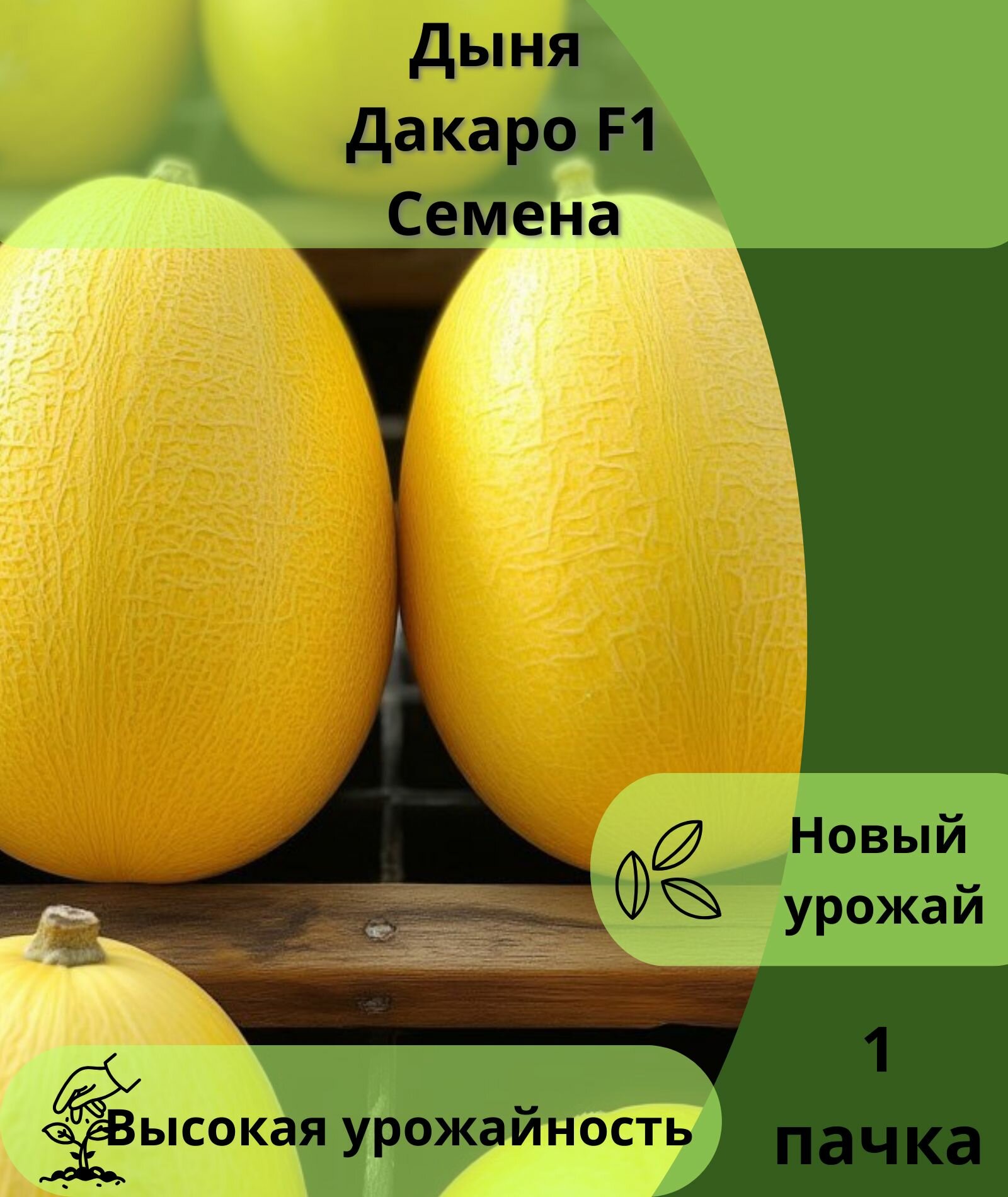 Дыня Дакаро F1, семена 10шт