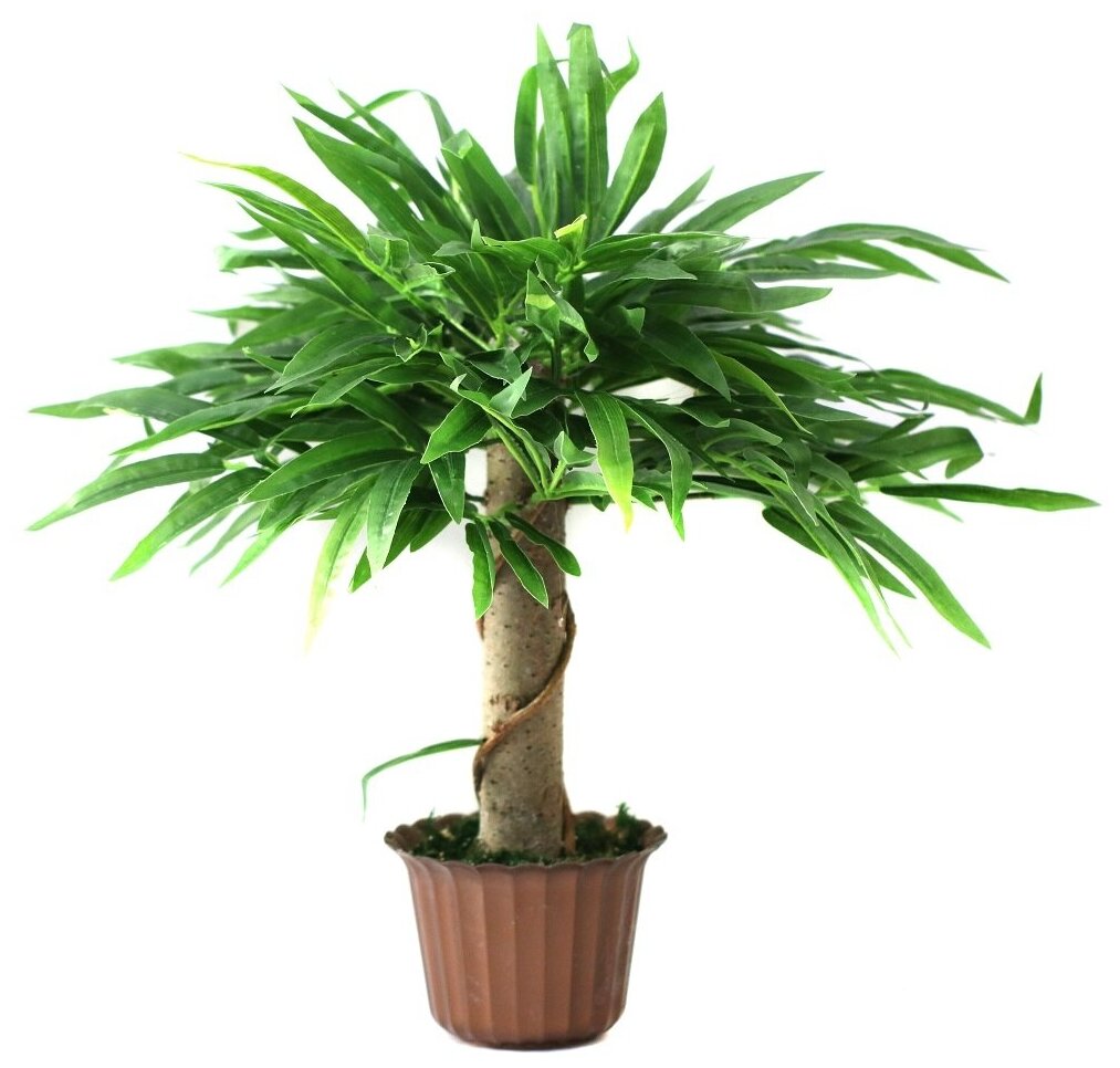 Искусственная бонсай от бренда Holodilova