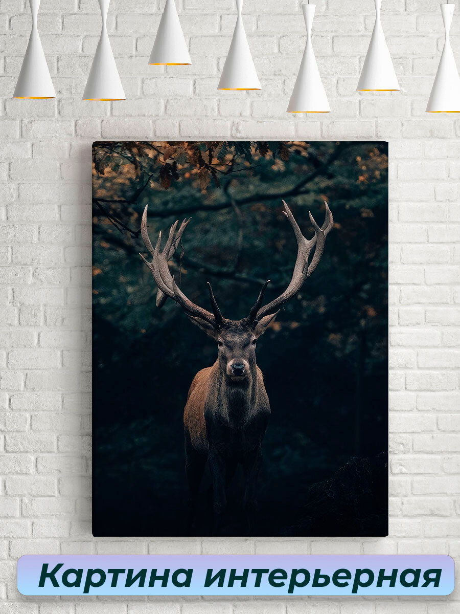 Картины для интерьера 40х60 Олень в лесу