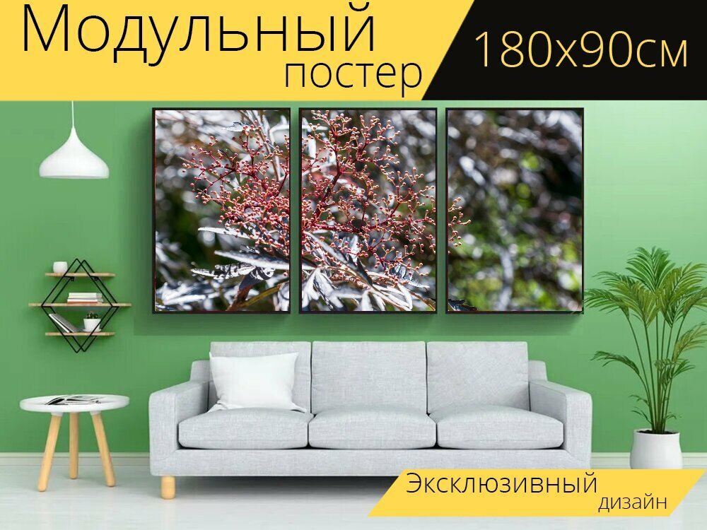 Модульный постер "Старейшина, разрезные листьями бузины, красный" 180 x 90 см. для интерьера