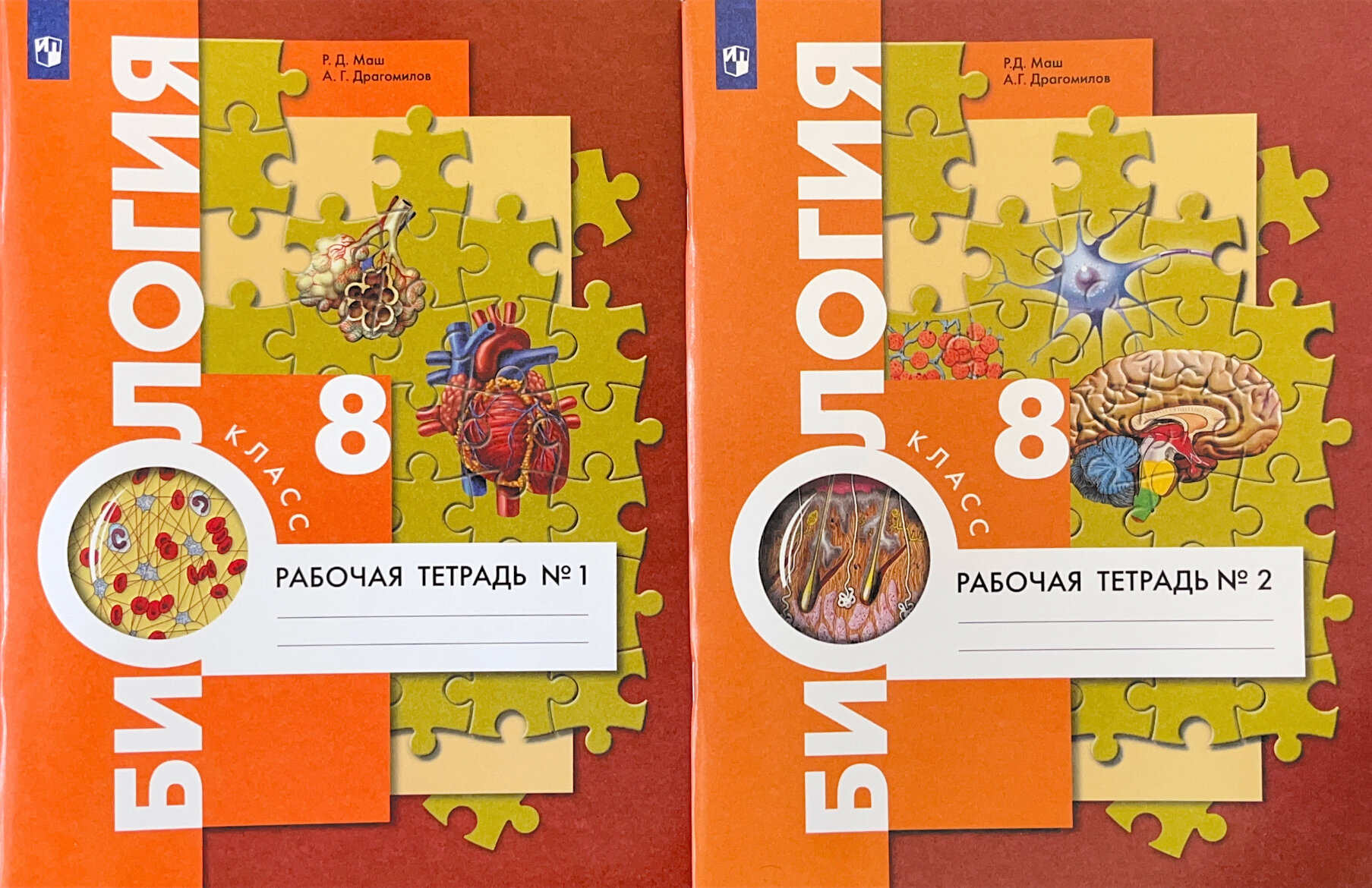 Маш Р. Д, Драгомилов А. Г. Биология 8 класс Рабочая тетрадь в 2-х частях. Комплект. Просвещение. 2022-2023
