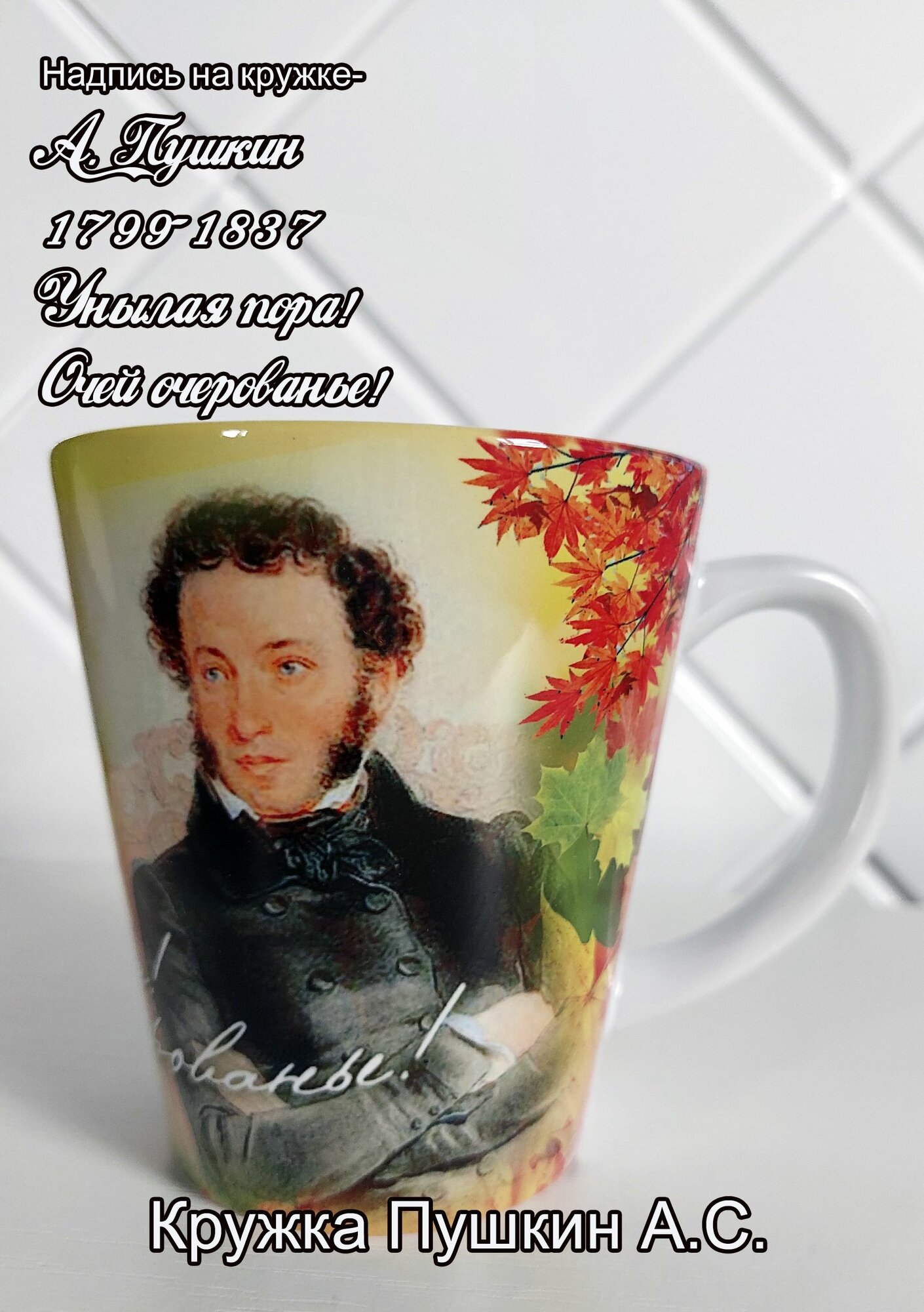 Кружка А. С. Пушкин дизайнерская