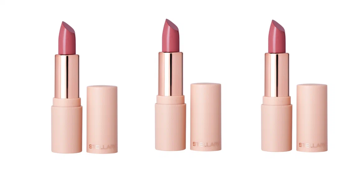 Помада для губ увлажняющая Stellary Hydrating Lipstick Cult Classic т.06 4 г 3 шт