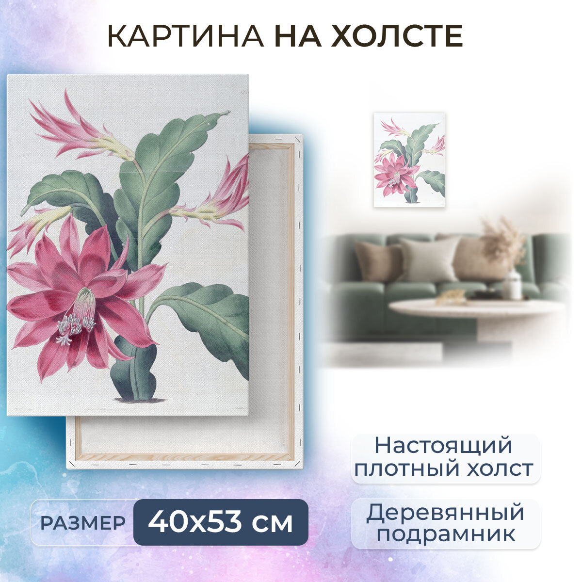 Картина на холсте с подрамником / Pierr - Joseph Redoute / Пьер-Жозеф Редуте