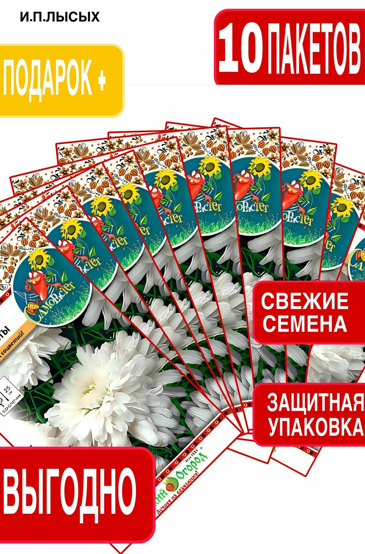 Семена цветов Хризантема наряд невесты