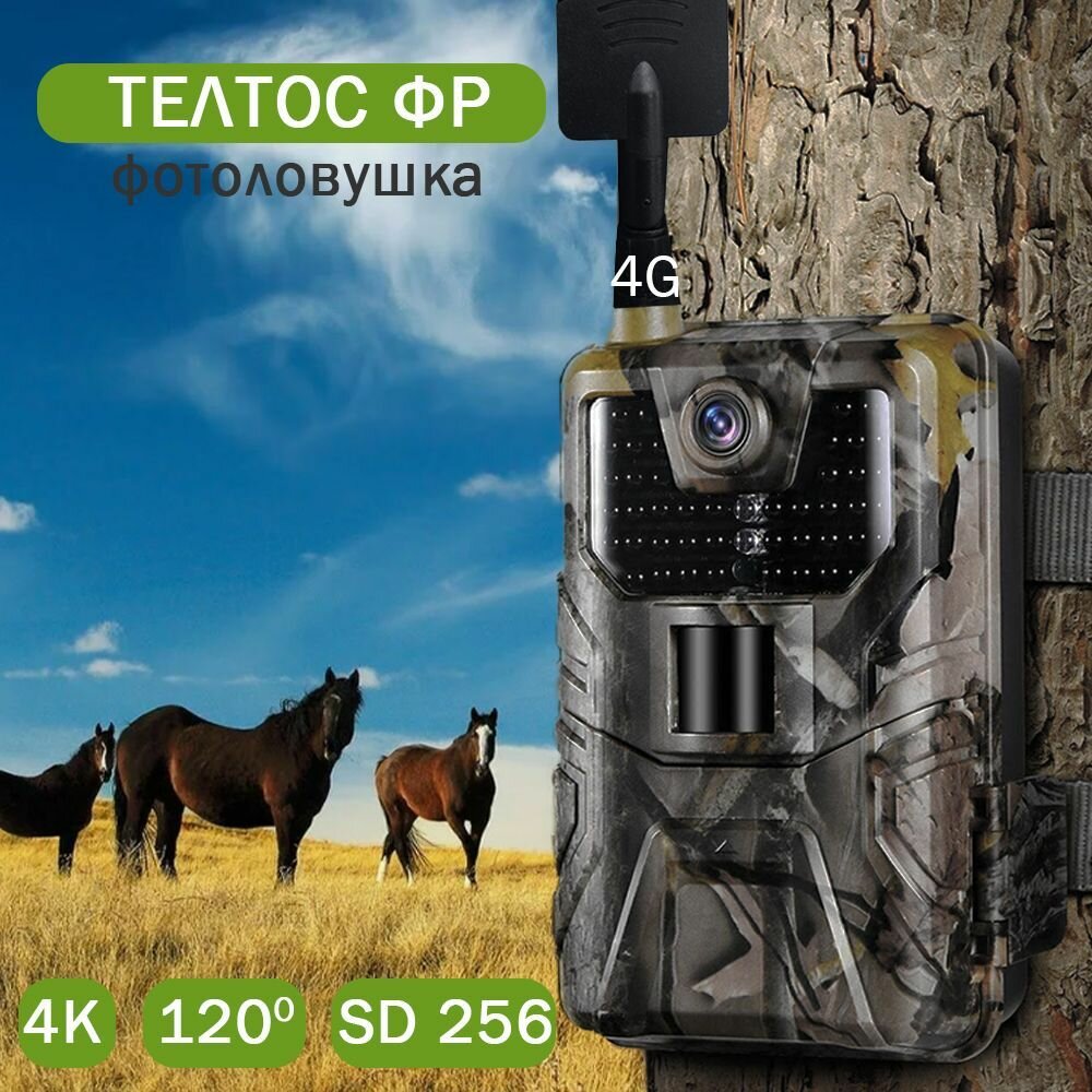 Фотоловушка "телтос ФР (90, PRO, 4G, 8AA)" со встроенным аккумулятором для охоты, охраны дома или дачи. Новинка!