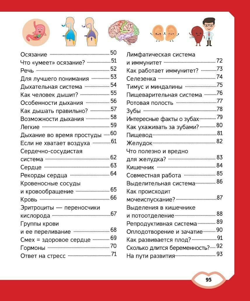 Тело человека — фото 1