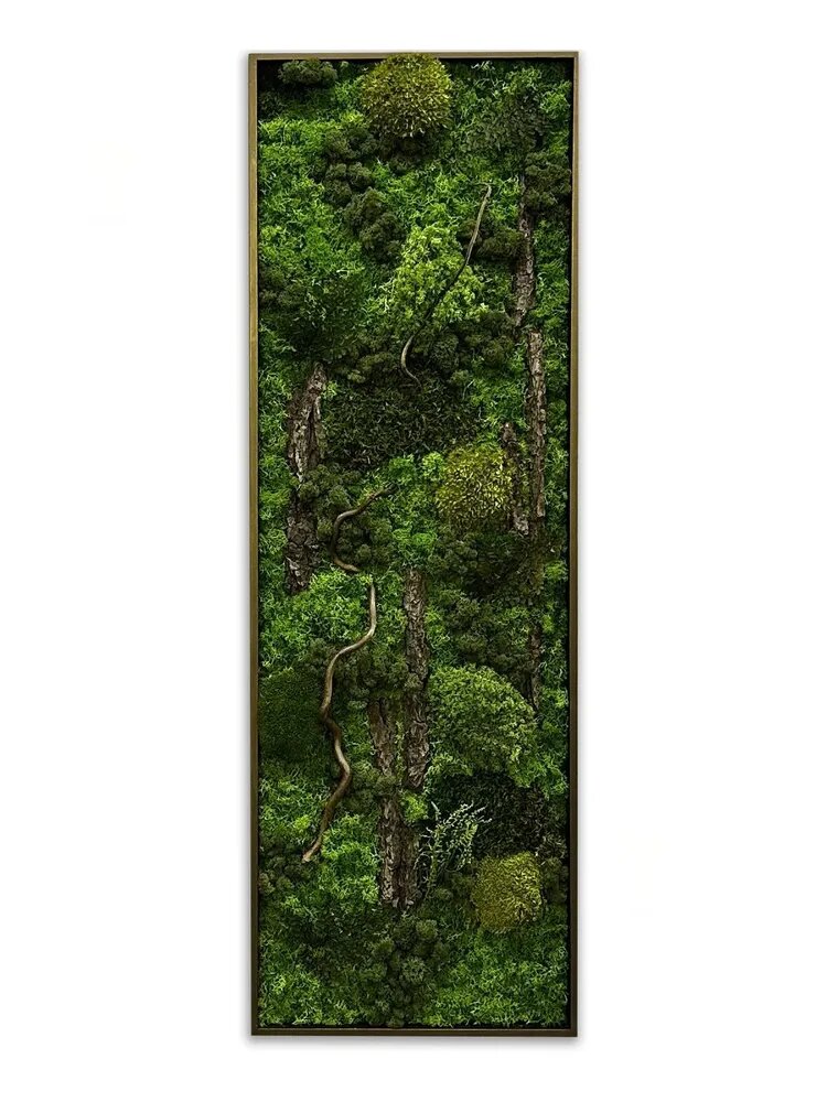 Панно/картина в раме "На опушке" Соло из стабилизированного мха и растений, Кедр. 120*40 см.