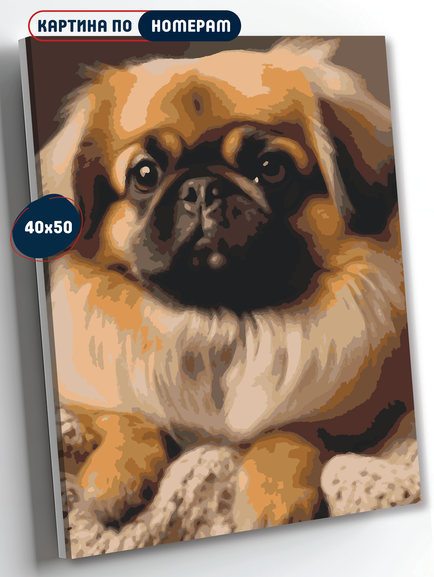 Картина по номерам "Пекинес", Холст на подрамнике 40х50, набор для рисования, с животными