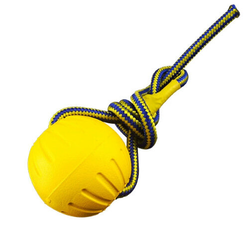 Игрушка для собак круг дрессировочный мяч для собак для снятия скуки зубы устойчивы к укусам корги Тедди Чай собака