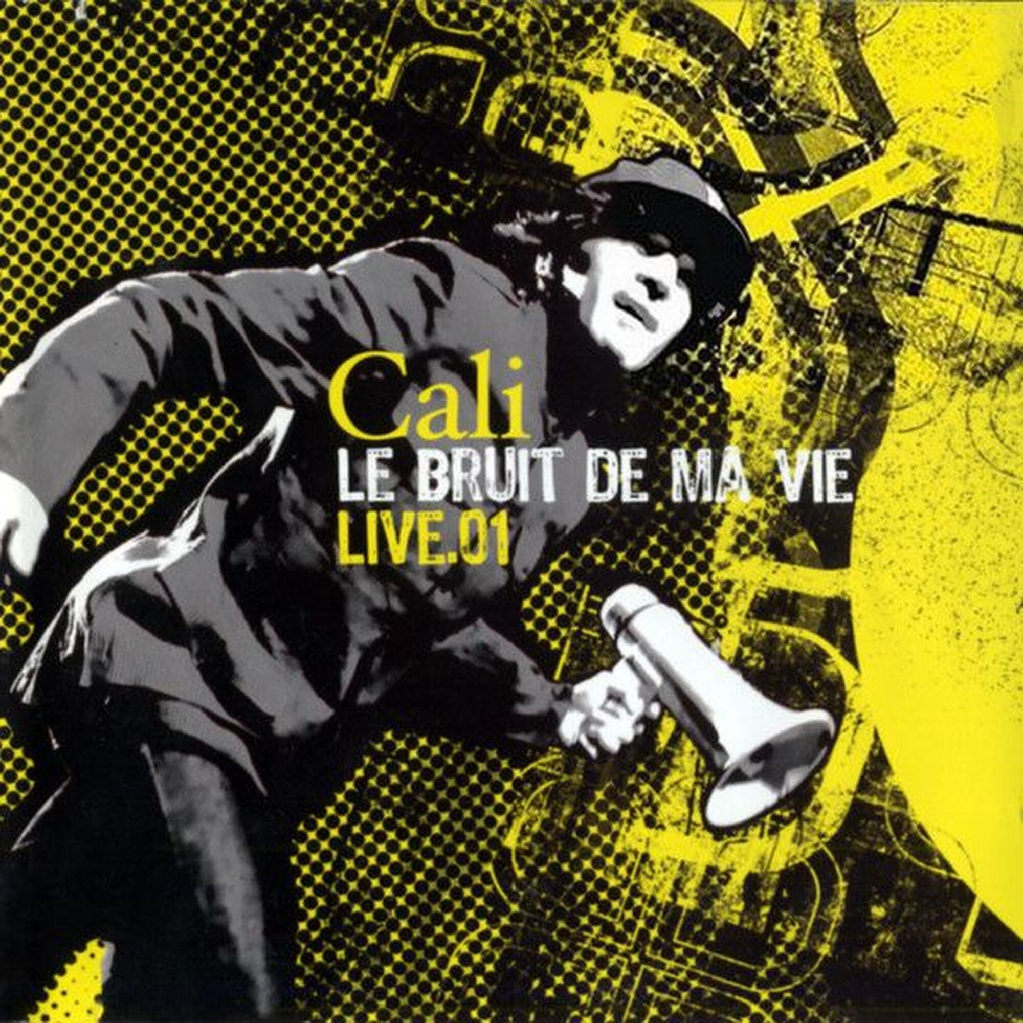 Audio CD - Cali. Le Bruit De Ma Vie (2CD), Зарубежная поп-музыка, 2009