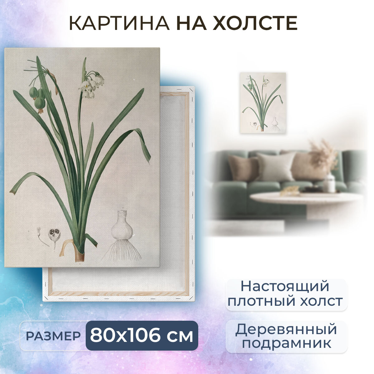 Картина на холсте, репродукция / Pierr - Joseph Redoute / Пьер-Жозеф Редуте / Размер 80 x 106 см