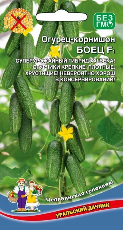 Огурцы Боец корнишон F1 (Урал. Дачник)