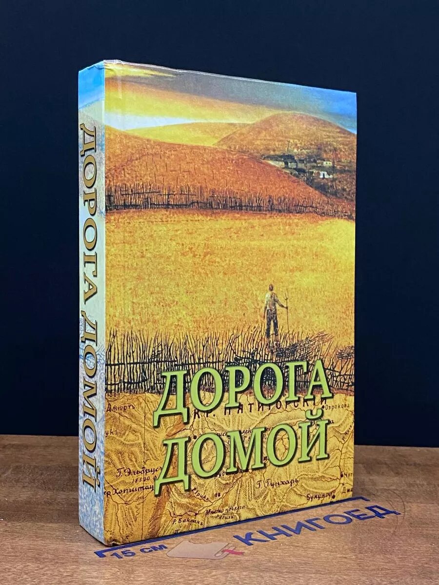 Книга. Дорога домой 2011 (2040801109739)