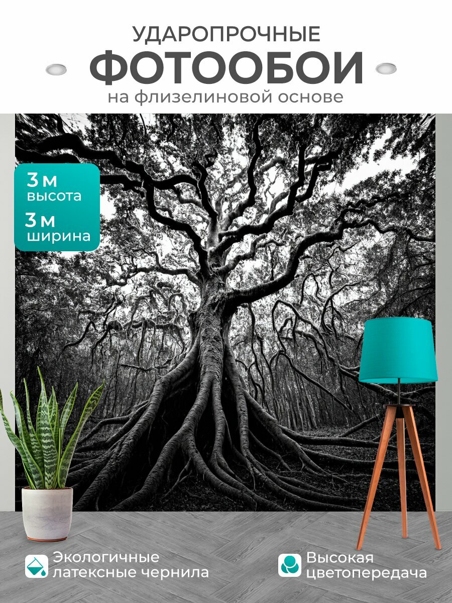 Фотообои моющиеся ударопрочные "Фотообои лес в стиле черно-белый: сказочные деревья с закрученными ветвями и чрезмерно большими корнями, образующими" 300x300 см. флизелиновые на стену