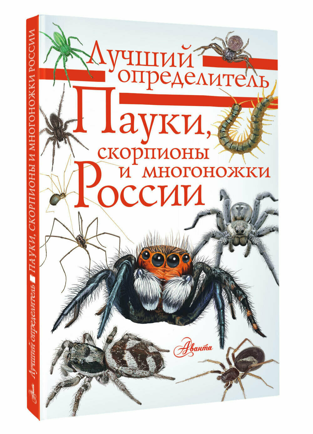 Пауки, скорпионы и многоножки России Гомыранов И. А. книга от издательства АСТ