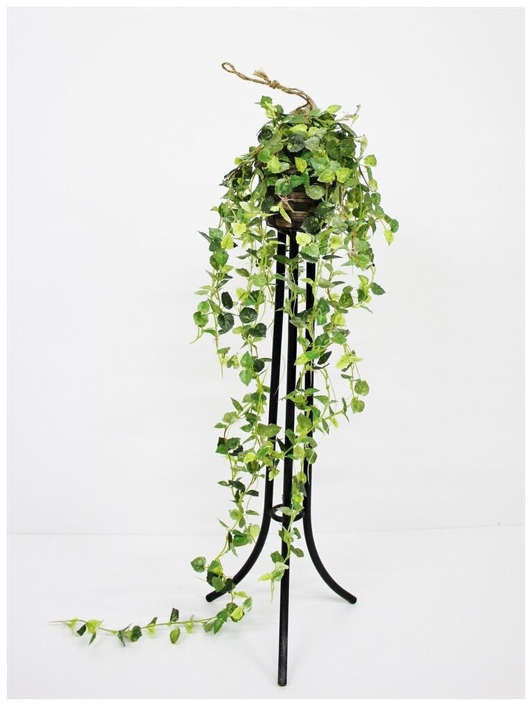 Лиана в кашпо длинной 80 см, бренд CONEKO - декор для дома и офиса