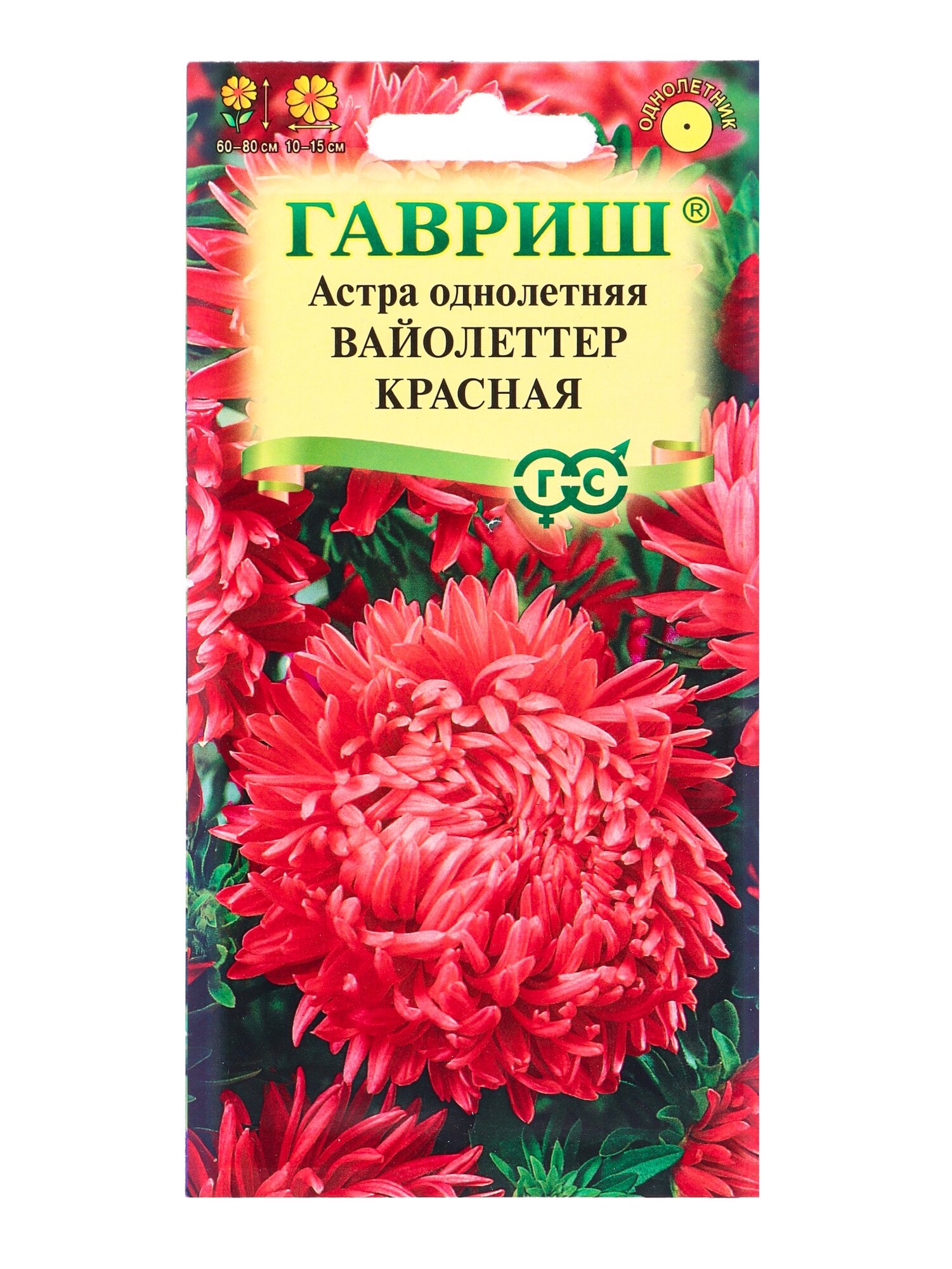 Астра «Вайолеттер красная» (пионовидная), семена цветов, 0.3 г