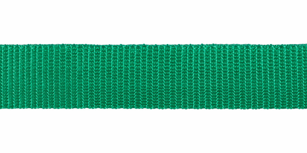 Стропа 50 мм 3731 фасовка 5х2.5 м цветная зеленый