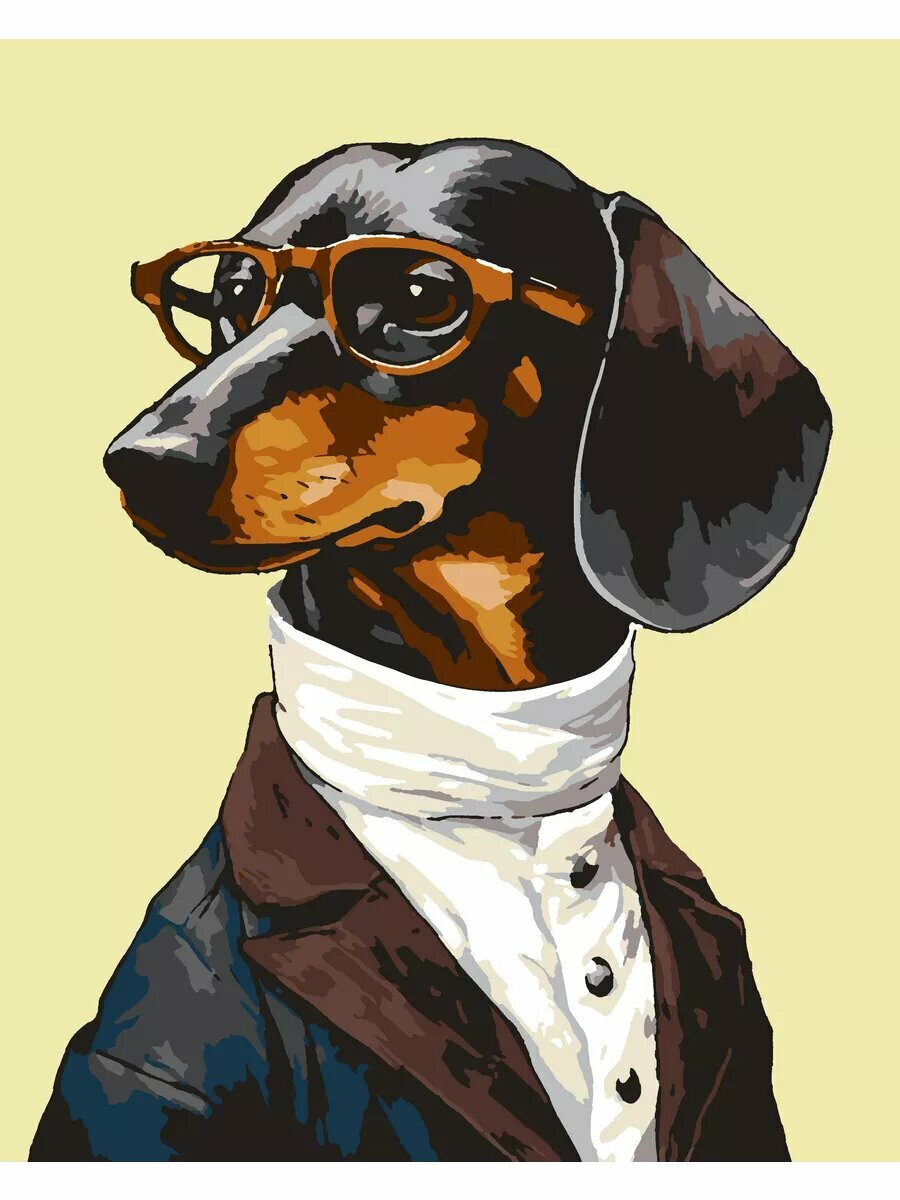 Картина по номерам Такса в Очках 40х50 см