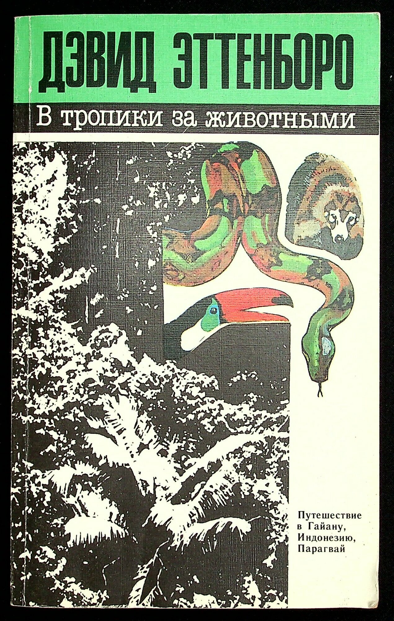 В тропики за животными