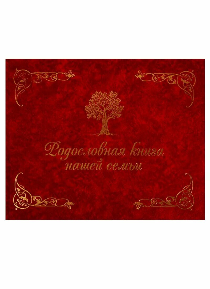 Родословная книга нашей семьи