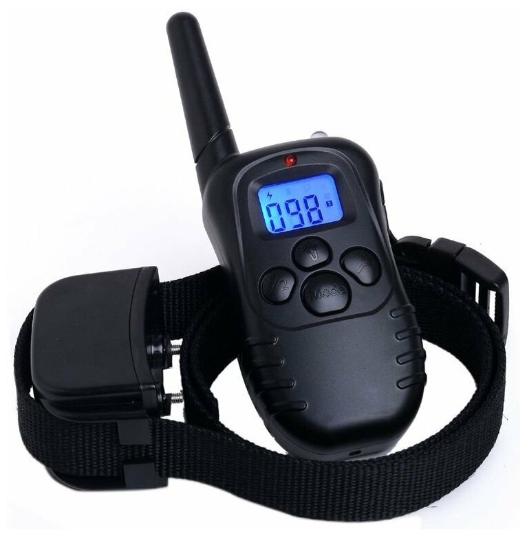 Электронный ошейник Petrainer PET998DR, длина ошейника 56 см, обхват шеи 35-56 см, 1 шт, черный, XL