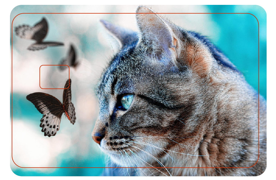 Наклейка на банковскую карту, стикер на карту, кошки