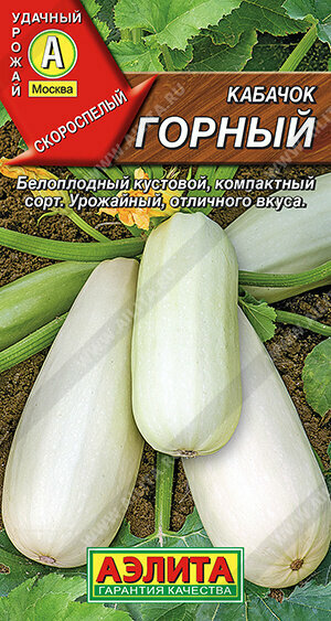 Кабачок белоплодный Горный