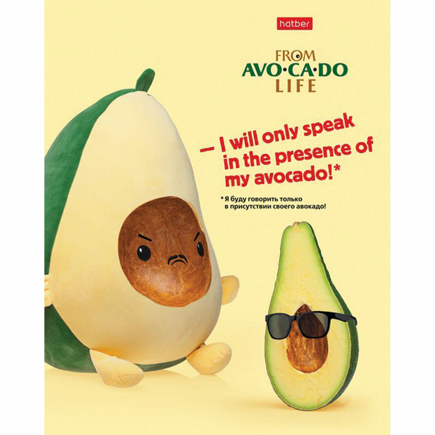 Упаковка 20 шт. Тетрадь А5, 48 л, HATBER, скоба, клетка, обложка картон, AvoCaDo life (5 видов в спайке), 48Т5В1