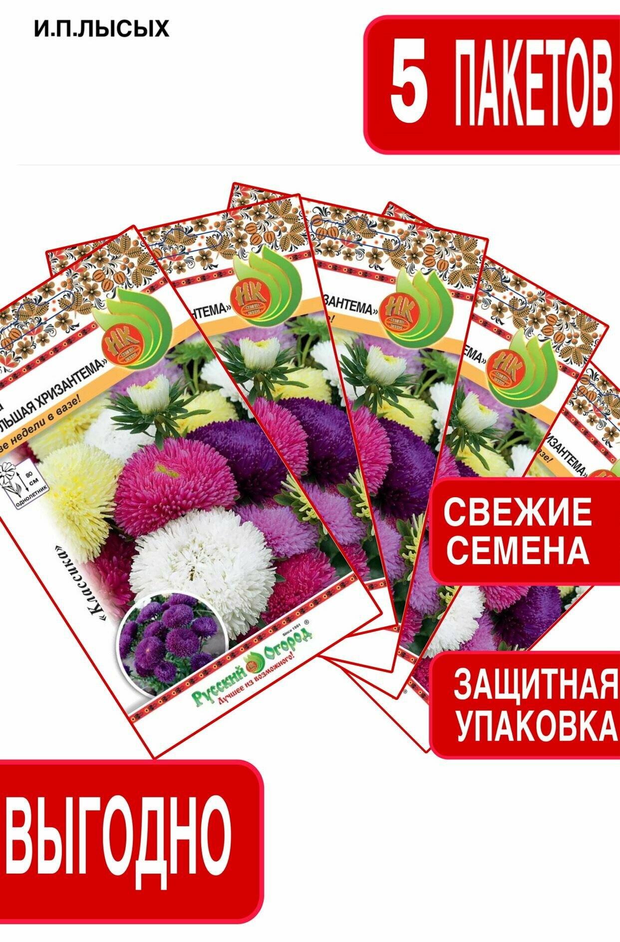 Семена Цветов Астра Большая хризантема смесь