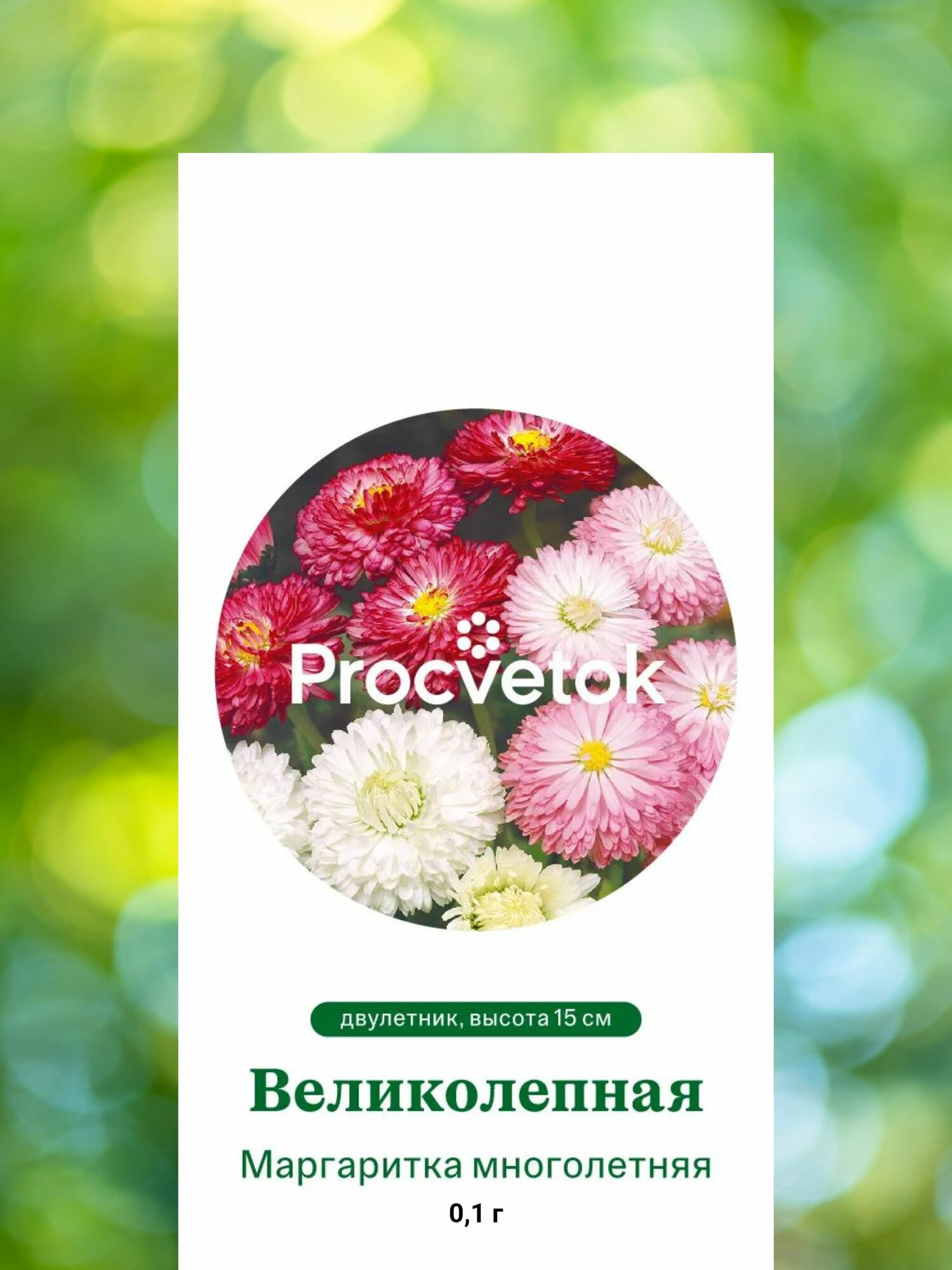 Семена Маргаритка многолетняя Великолепная 0,1г процветок