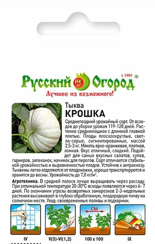 Тыква Крошка — фото 1
