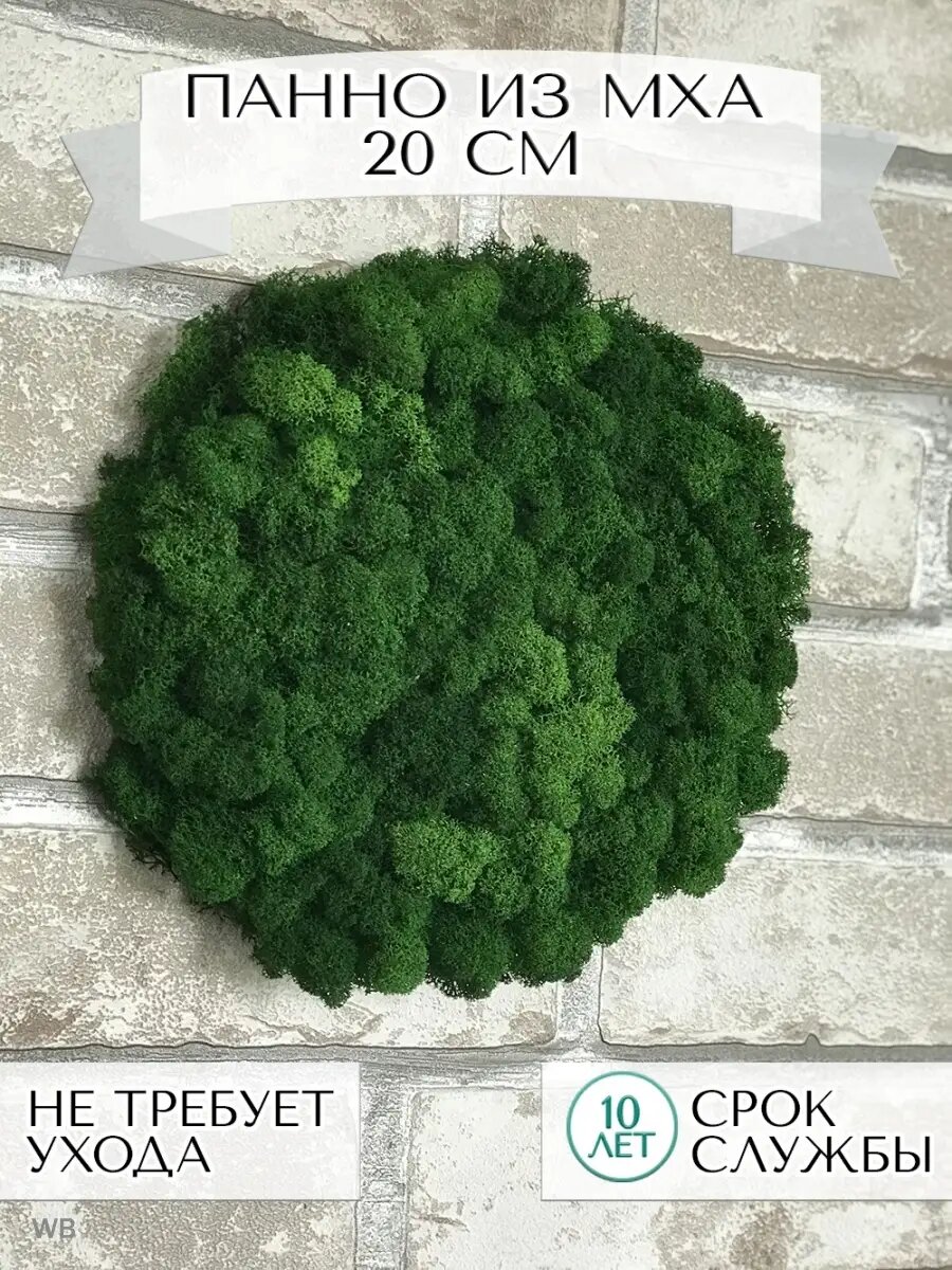 Панно круглое из стабилизированного мха ягеля