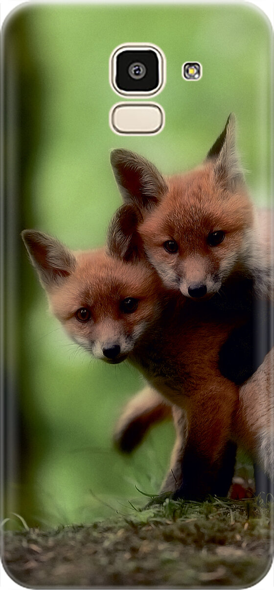 Силиконовый чехол Два лисенка на Samsung Galaxy J6 (2018) / Самсунг Джей 6 (2018)