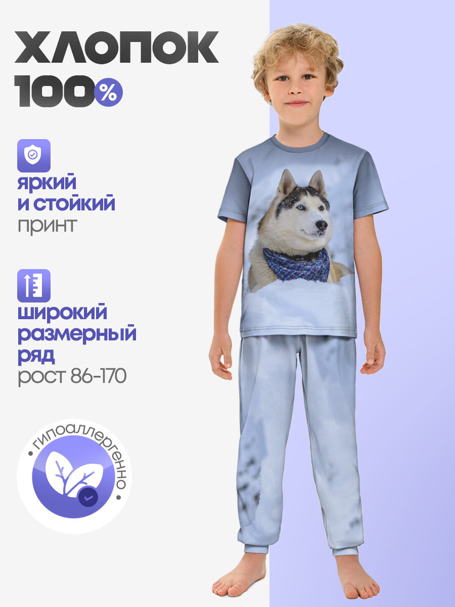 Пижама Сибирский хаски