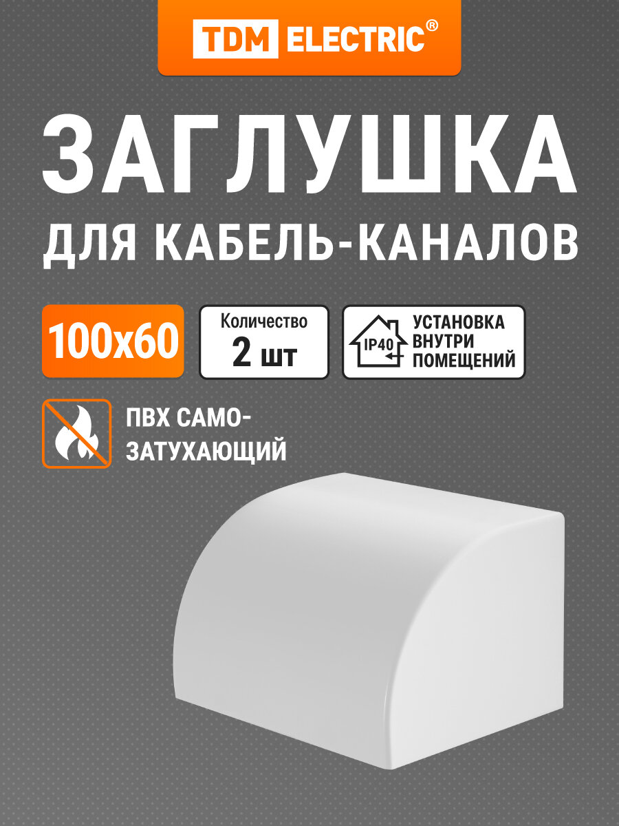 Заглушка кабельной трассы КМЗ, белый, 100x60 упаковка 2 шт TDM Electric