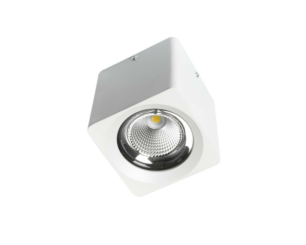 Светильник точечный LED 15 Вт 3000К L3942BA30-15W Blesslight