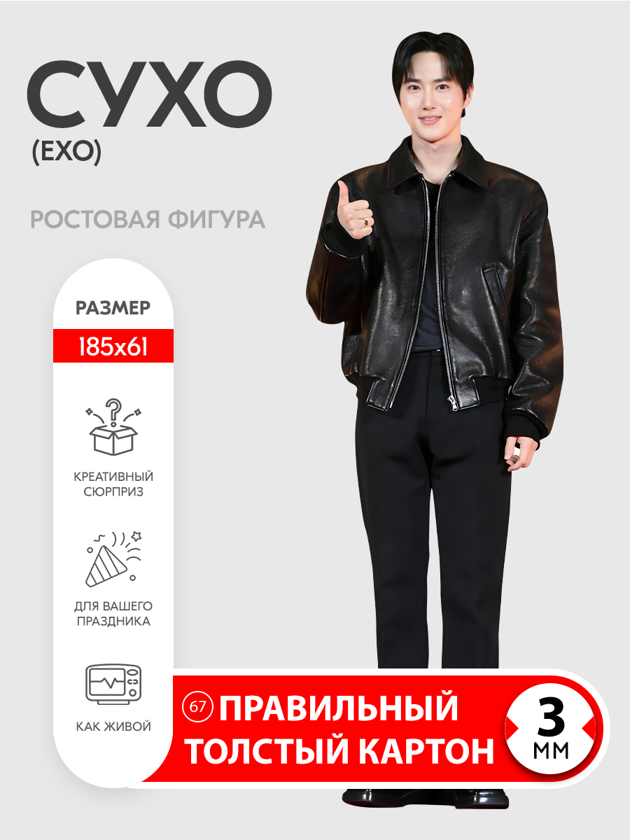 Аксессуар для фотосессий, самое это, Сухо (EXO) 1 ростовая фигура