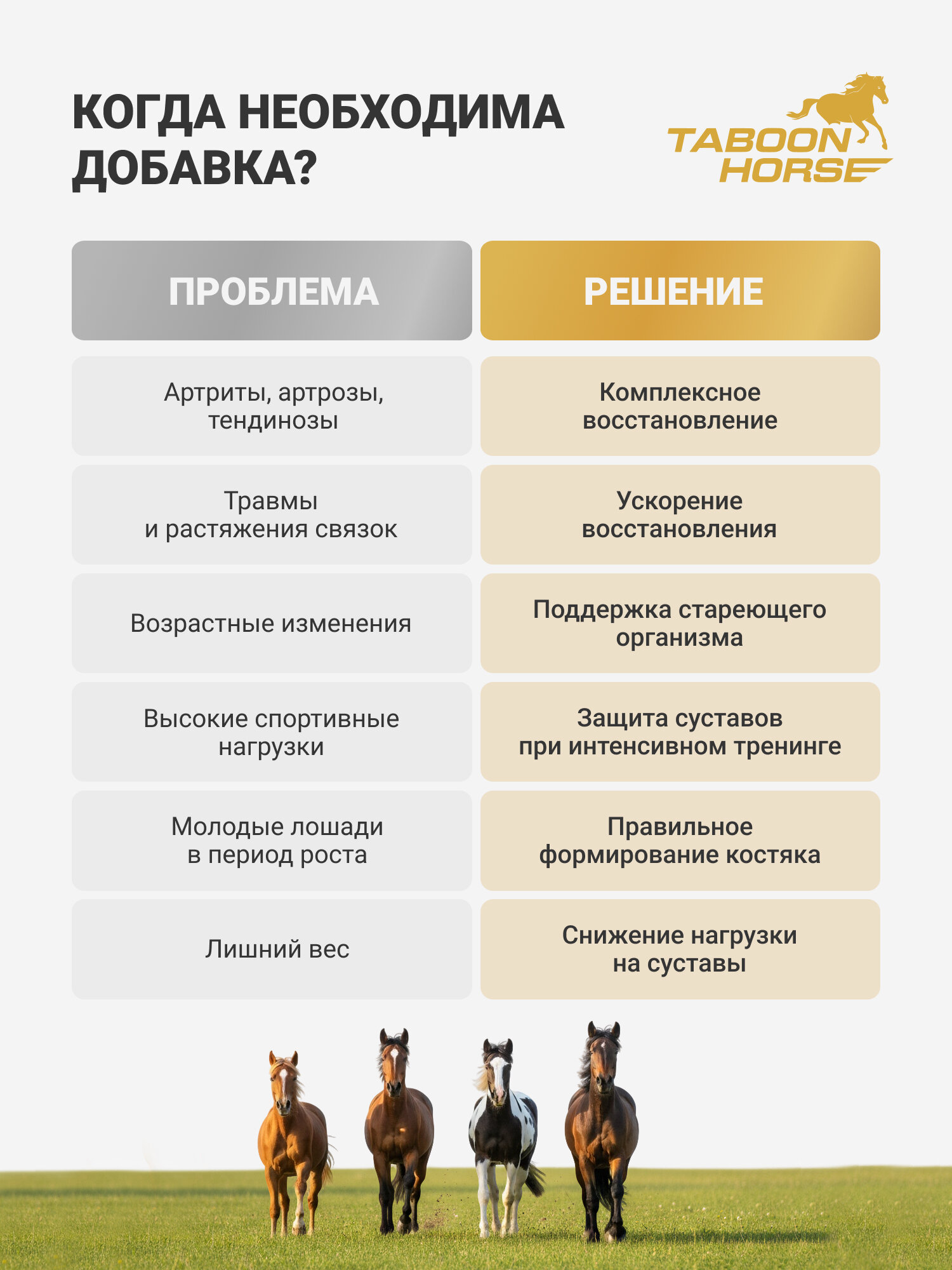"Табун Хорс Артро" эффективный хондропротектор для лошадей 1000 мл кормовая добавка — фото 1