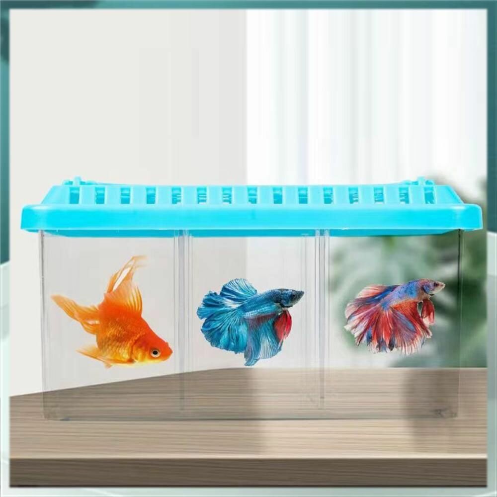 Прозрачный аквариум, с несколькими отделами, для дома и офиса