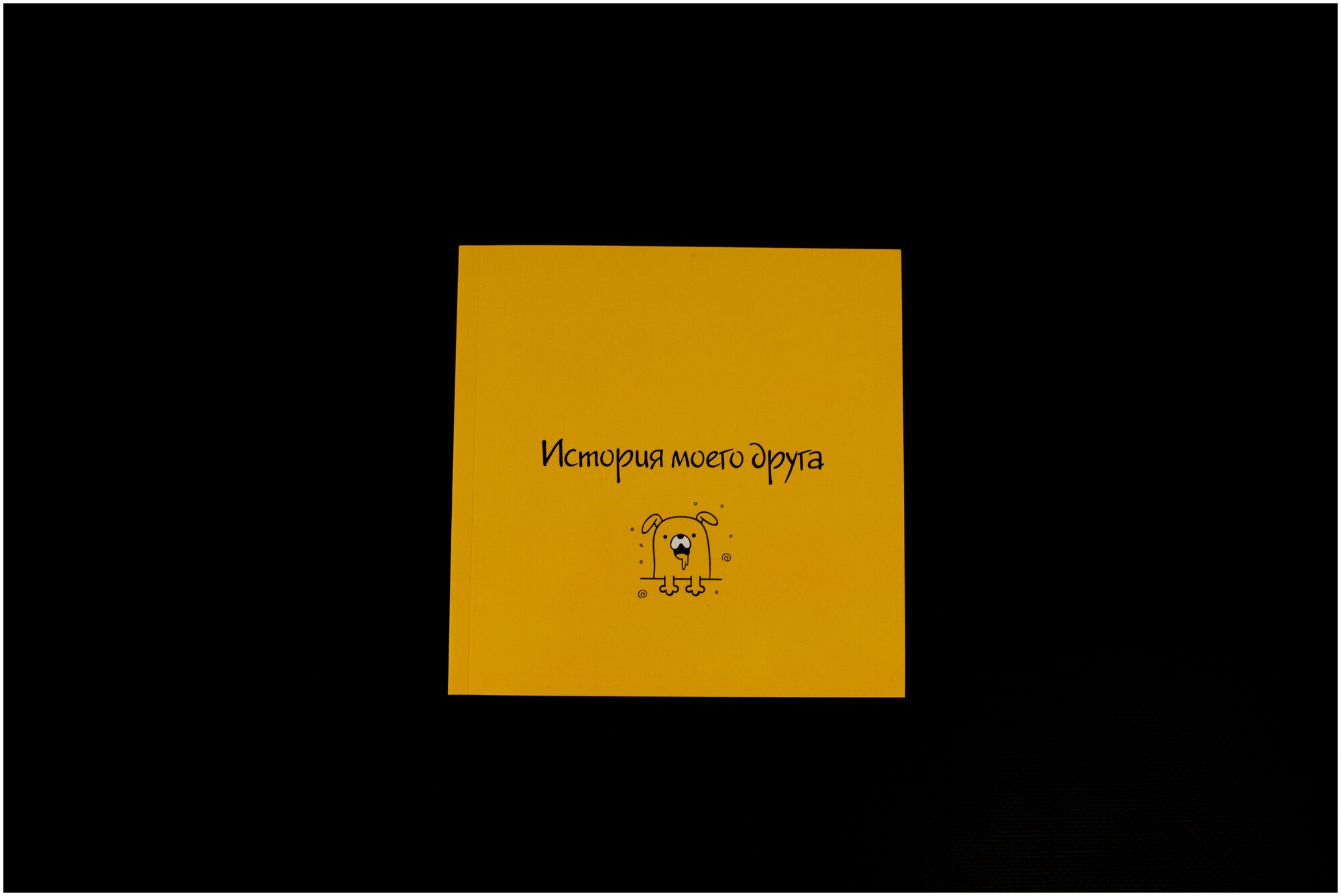 Фотокнига «История моего друга»