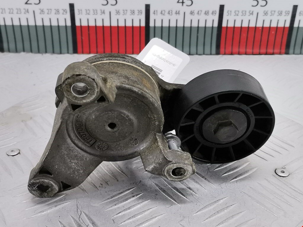 Натяжитель ремня генератора (приводного поликлинового ремня Citroen Xsara Picasso 1611425380 арт. 1613574