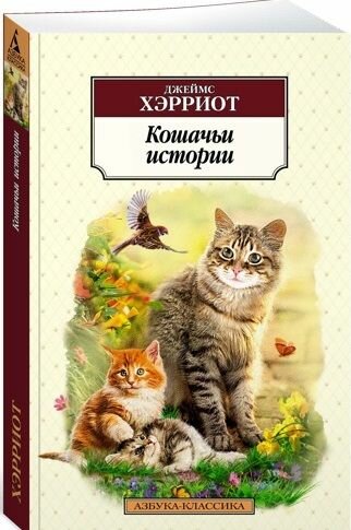 Кошачьи истории — фото 1