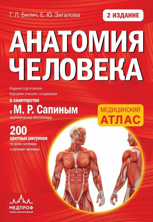 Анатомический атлас ЭКСМО Цветной. Анатомия человека, 2 издание, Билич Г. Л, Зигалова Е. Ю, 240 стр, 2024 г.