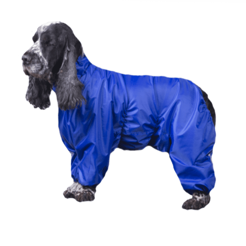 Дождевик-комбинезон для английского кокер-спаниеля кобеля, повышенной прочности, цвет василек