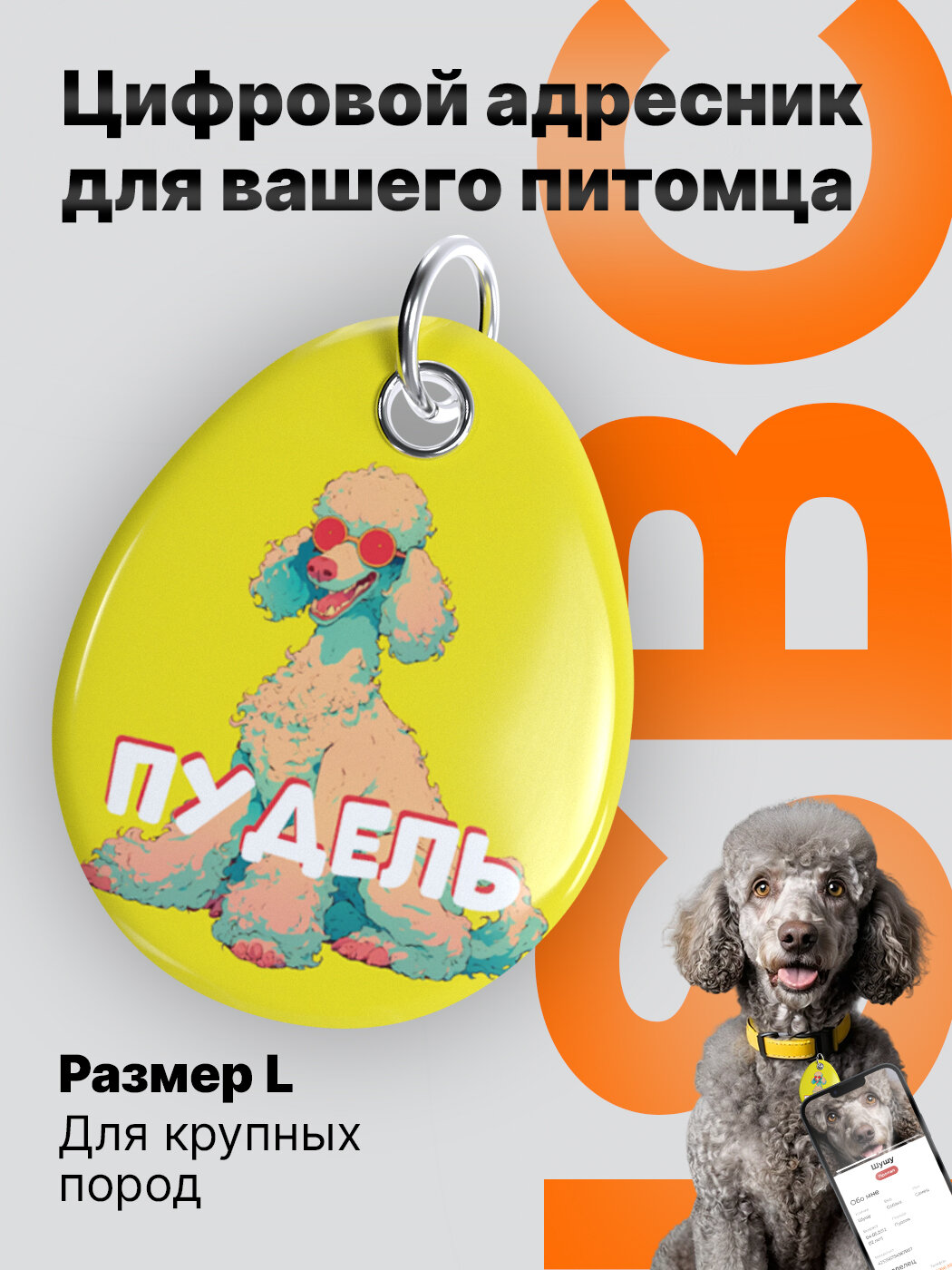 Цифровой Адресник для собак породы пудель от ISBC с NFC и QR-кодом