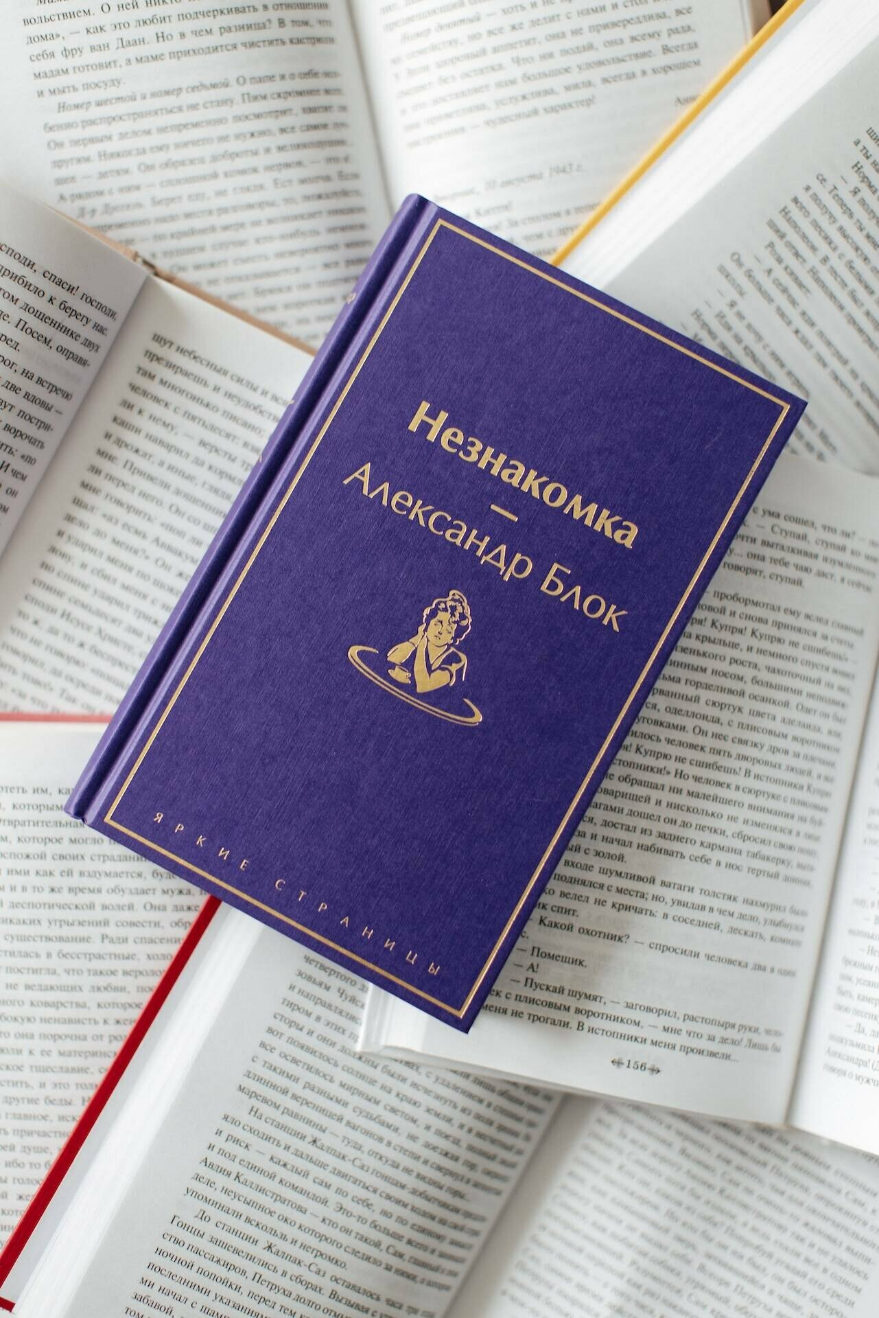 Незнакомка — фото 1